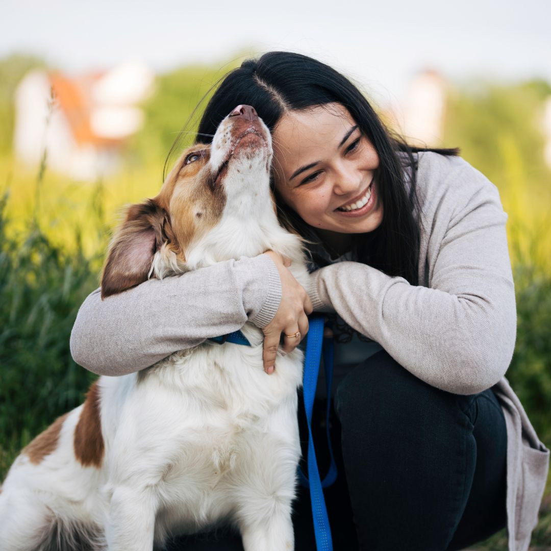 Importance of Socializing Your Dog — Call Dog Days Training Center